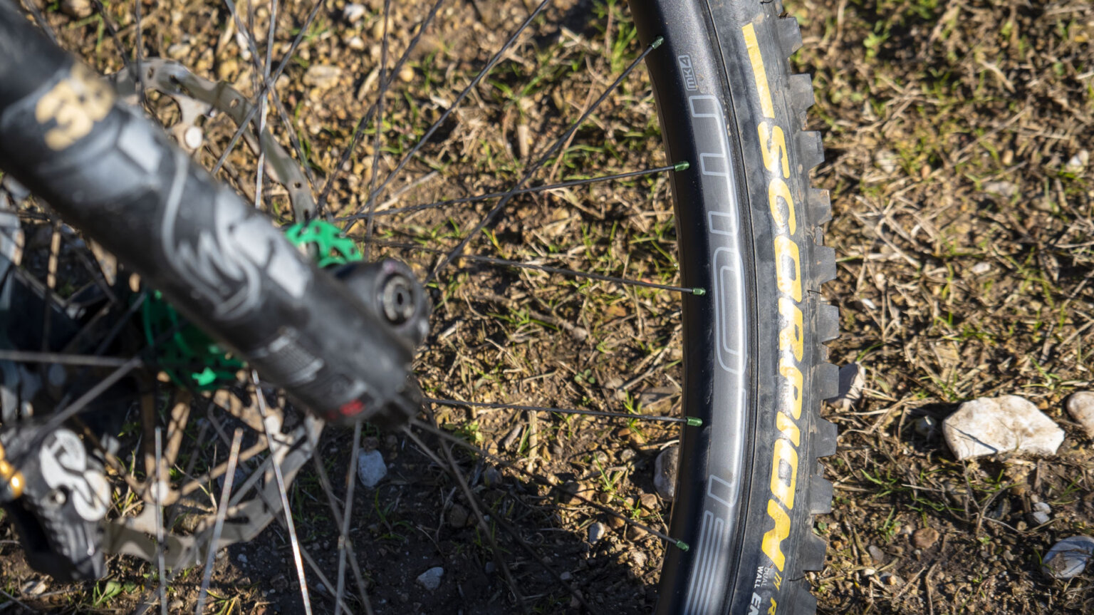 Test Ruote Damil FLOW MK4 29" (DM-30A): Top per l'Enduro | 365mountainbike